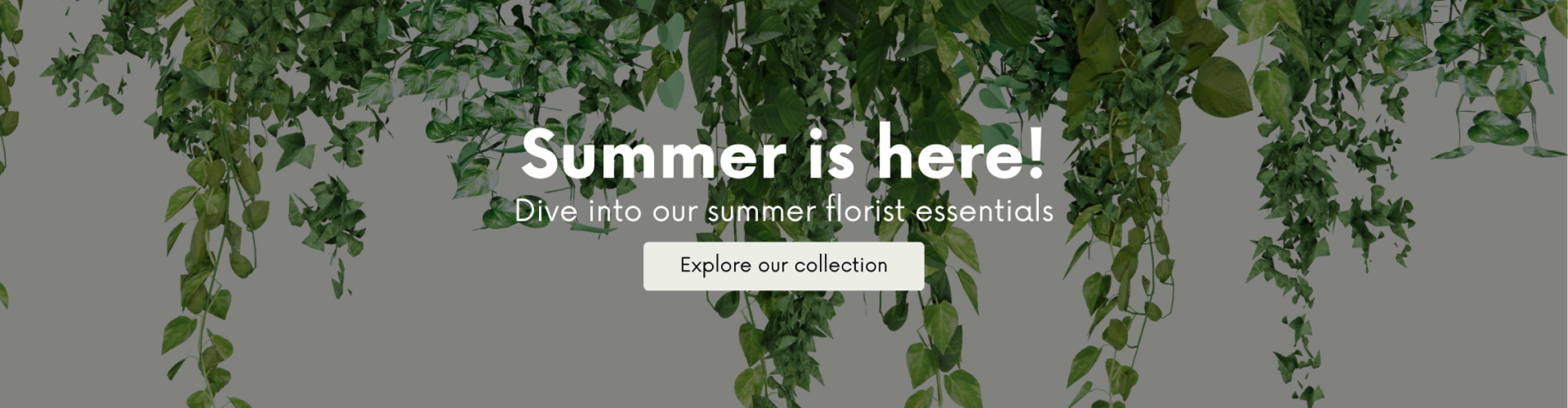 Florist Supplies & Sundries for Floral Designs