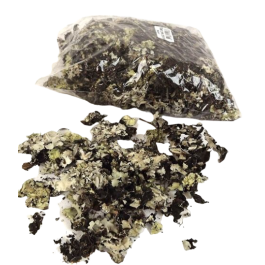 Black Moss (Musgo) x 250g