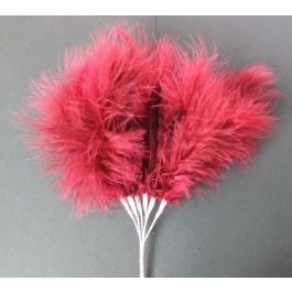 Fluff Feathers x 6 Stems x 6 Bunches Claret