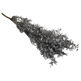 Ruscus x 5 Stems Silver