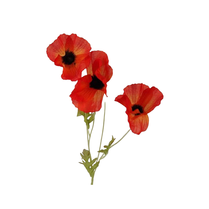 Poppy Spray x 3 Heads Orange
