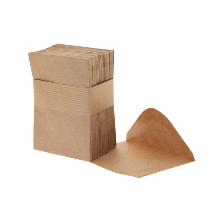 Brown Kraft Envelopes x 100