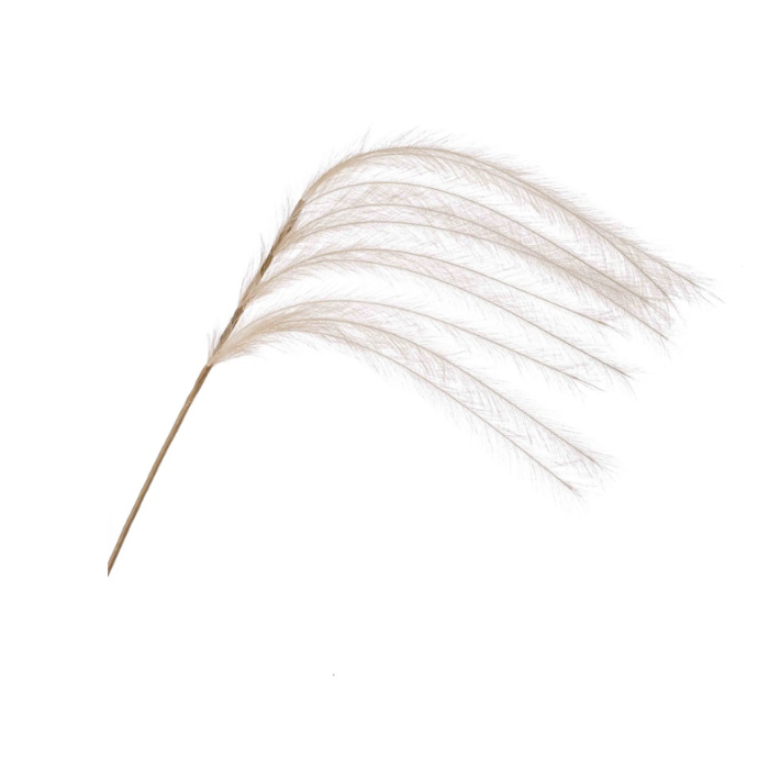 Feather Spray Cream 115cm