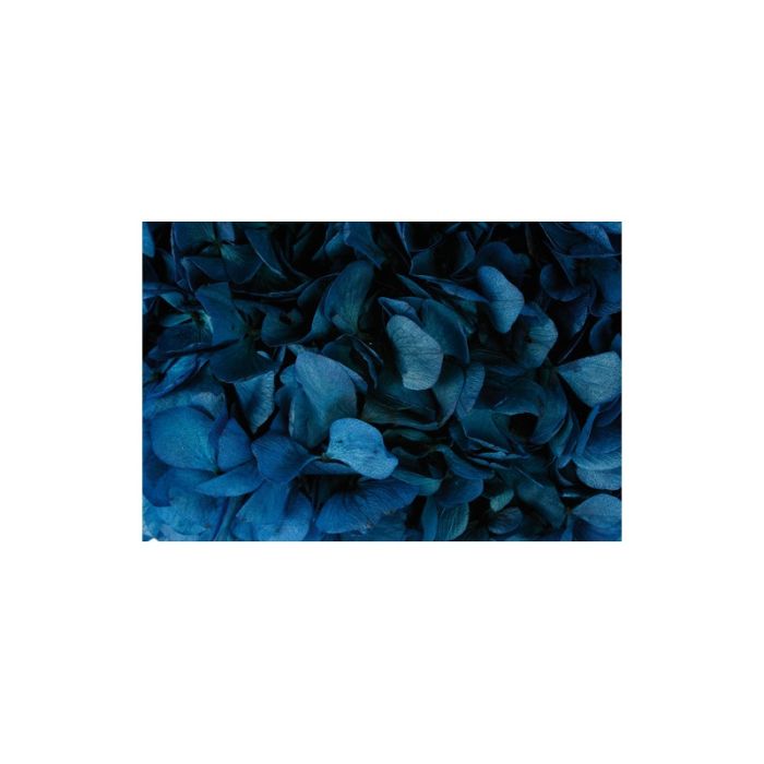 Preserved Hydrangea - Navy