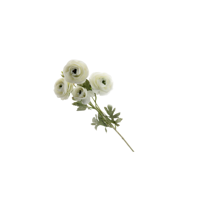 Ranunculus Stem 67cm Cream/Ivory