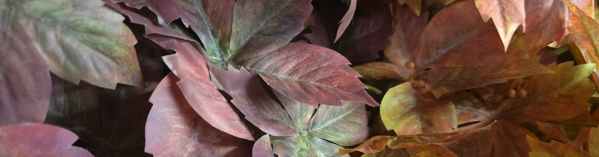 Florist Supplies & Sundries for Floral Designs